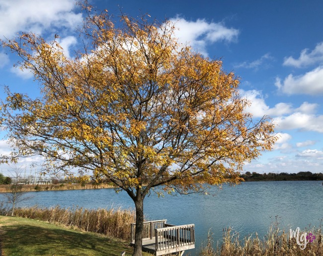 Remnant-Keeper - Mary Geisen