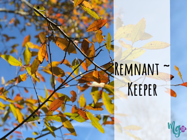 Remnant-Keeper - Mary Geisen