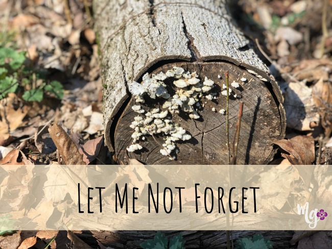Let Me Not Forget - Mary Geisen