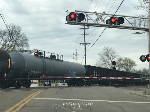 Boarding the Freedom Train - My One Word for 2023 - Mary Geisen
